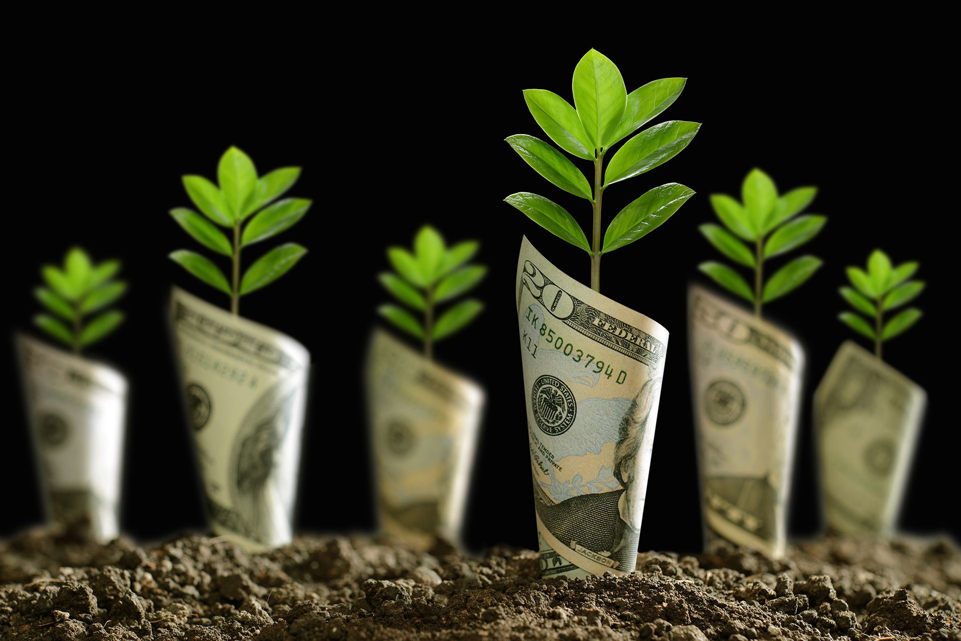 Discover Fast Funds – Discover Fast Funds Blog